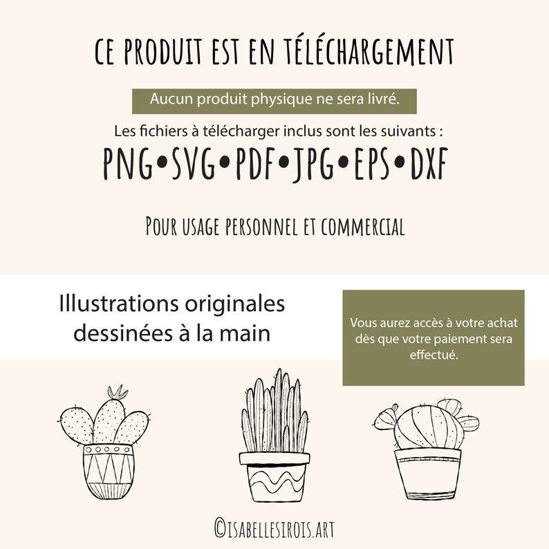 Cacti Bundle to Download Svg, Hand Drawn Cacti Jpg, Doodle Cacti Pdf ...