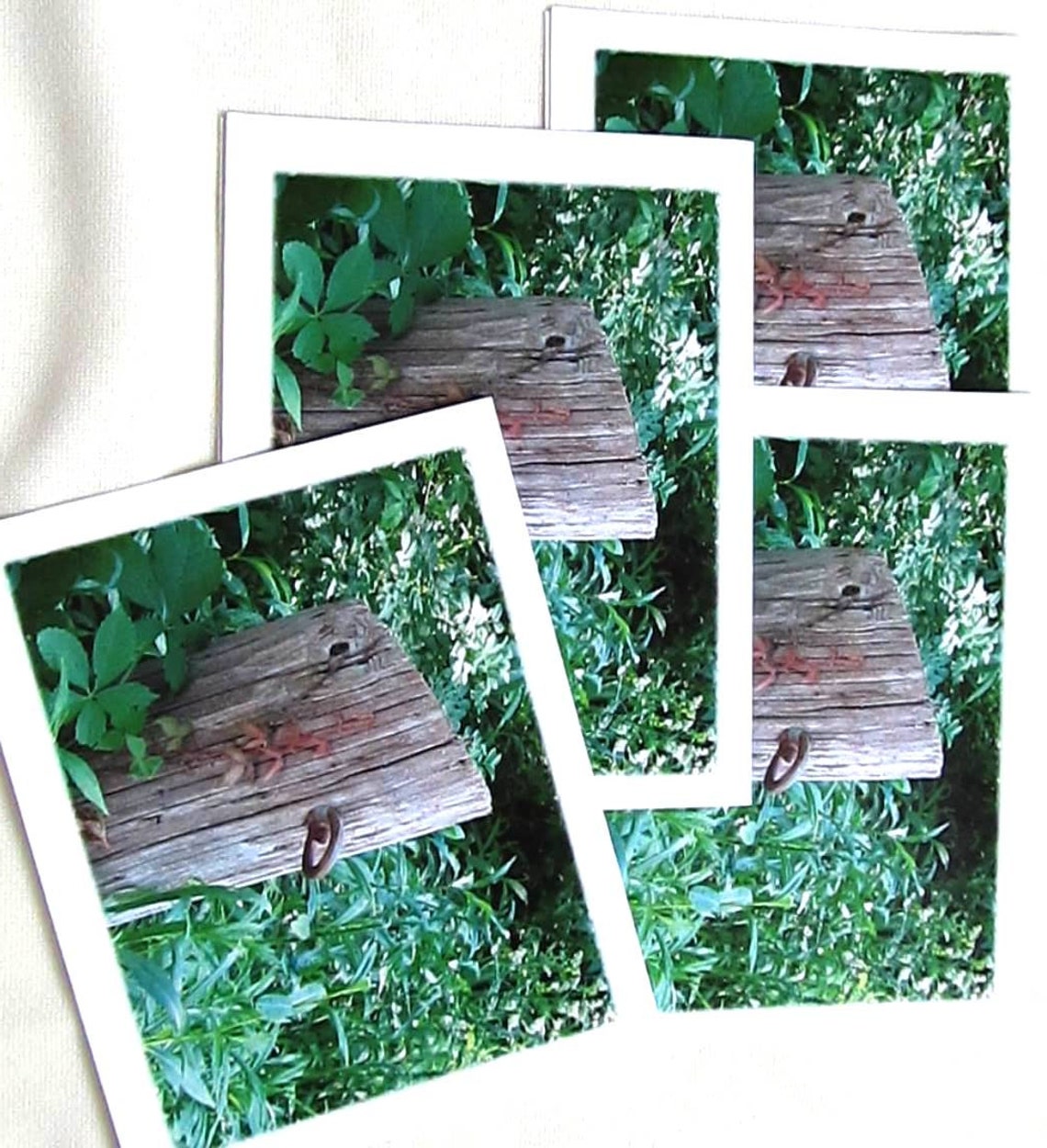 Photo Note Card Set Set of Four Photo Cards Rustic Woodland Set of 4 ...