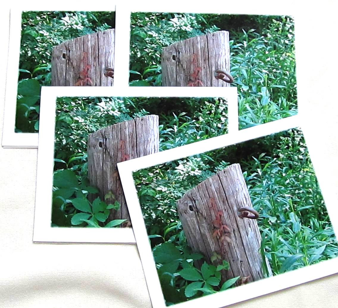 Photo Note Card Set Set of Four Photo Cards Rustic Woodland Set of 4 ...