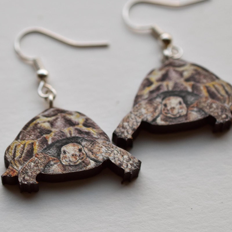 Wooden Tortoise Earrings - Etsy