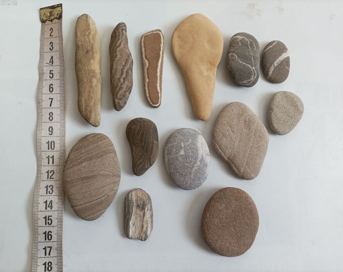 13pcs Unique Beach Rocks, Odd Beach Stones, Unusual Beach Finds, Stones ...