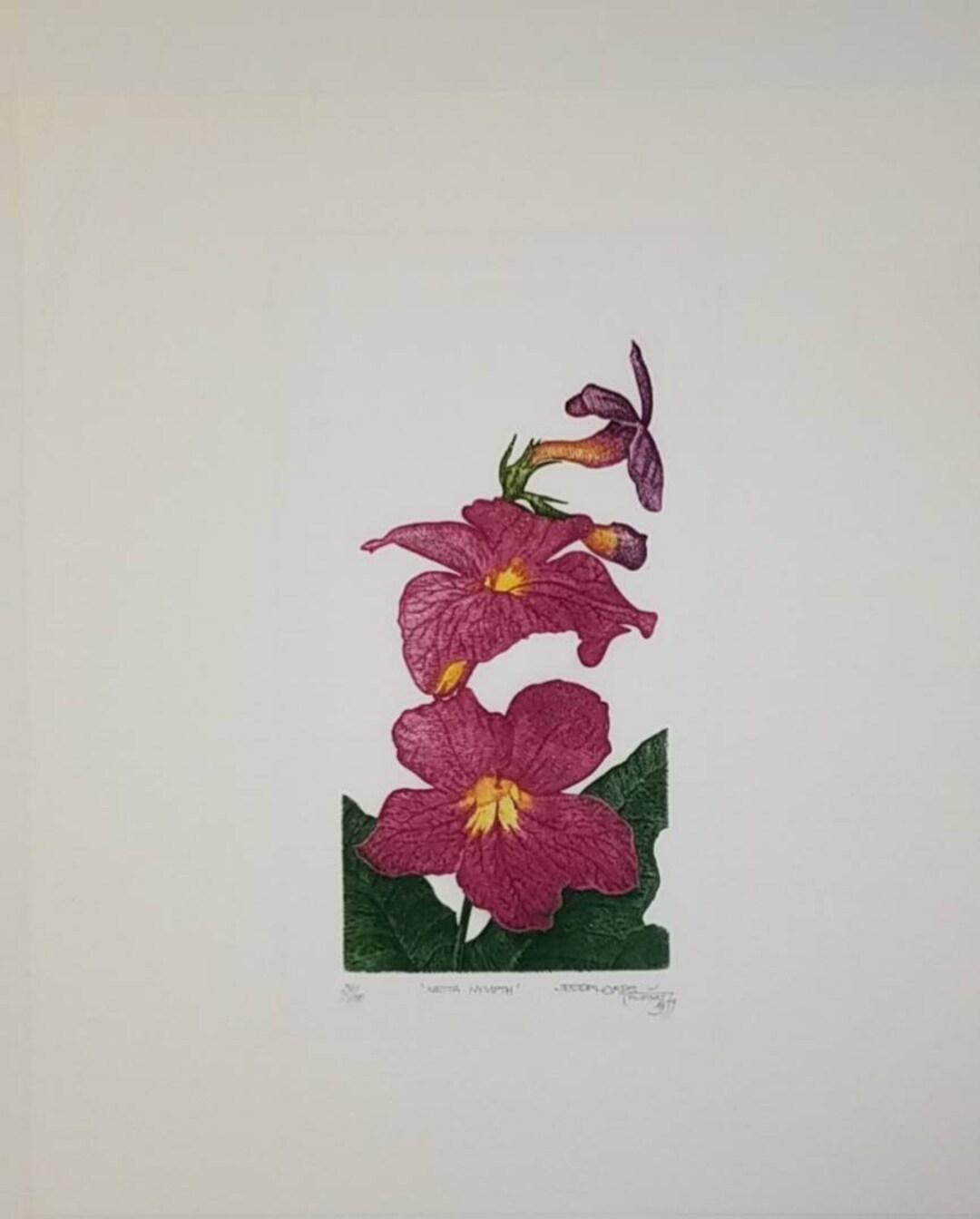 Vintage Floral Etching, Jess Flores - Etsy