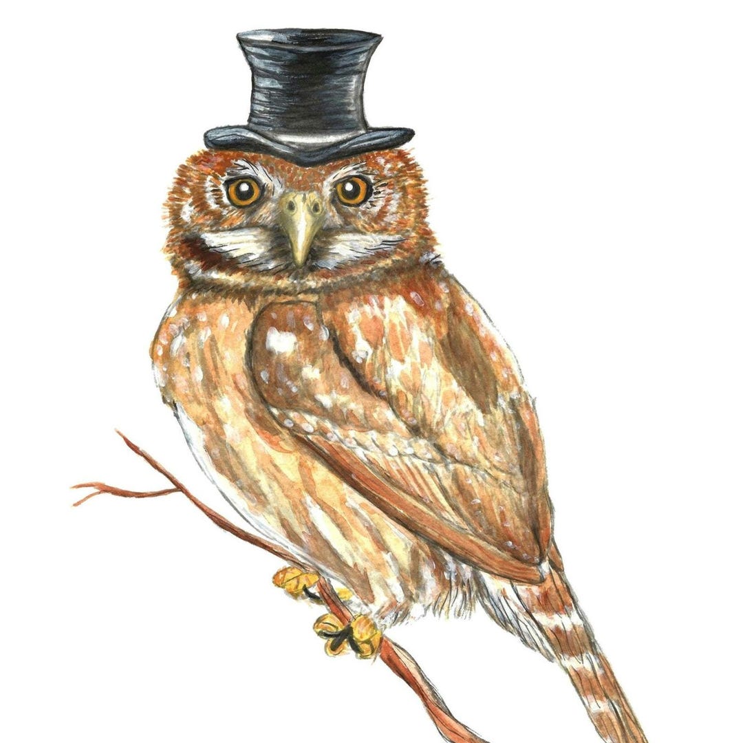Owl in Top Hat Watercolor Art Print, Quirky Bird in Hat, Whimsigoth ...