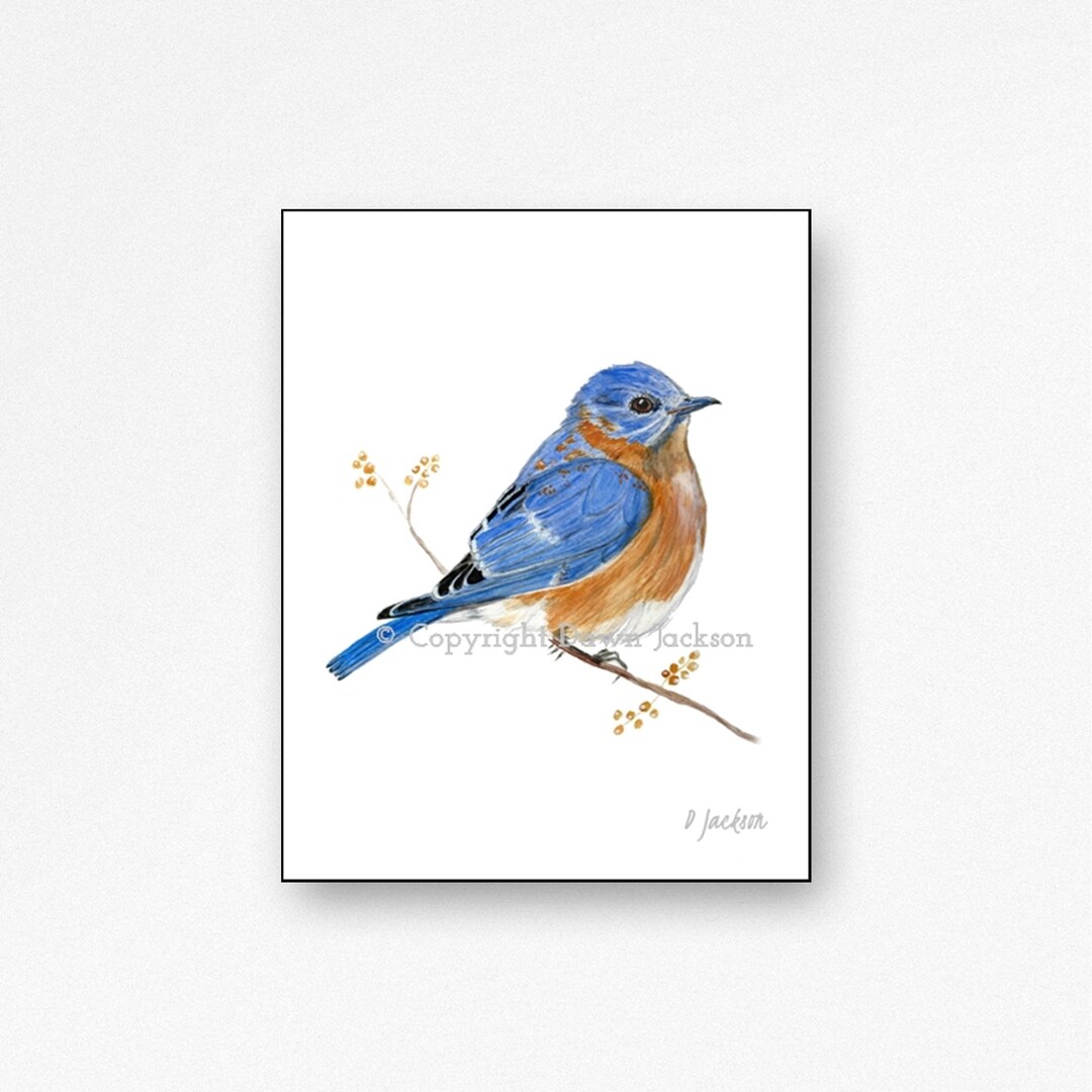 Bluebird Mounted Watercolor Art Print Ready to Hang, Modern State Bird ...