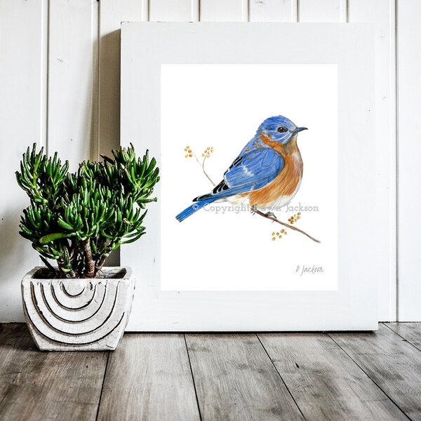 Bluebird Print - Etsy