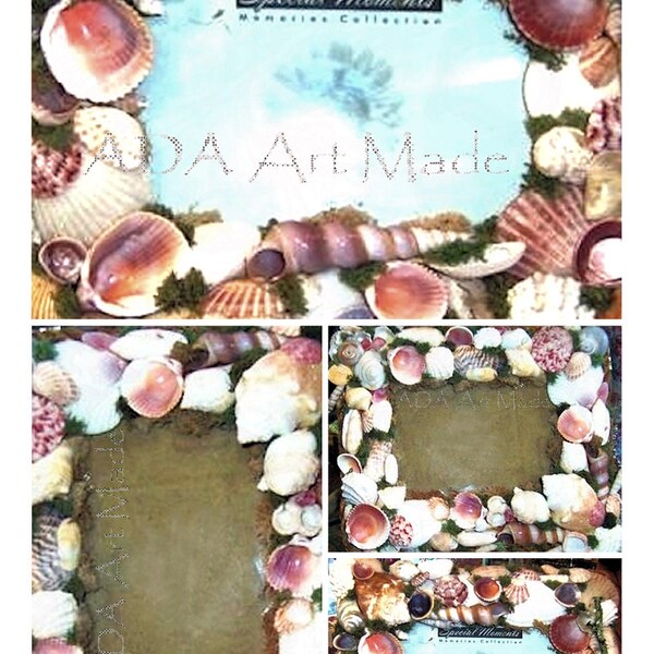 Assorted Seashells - Etsy