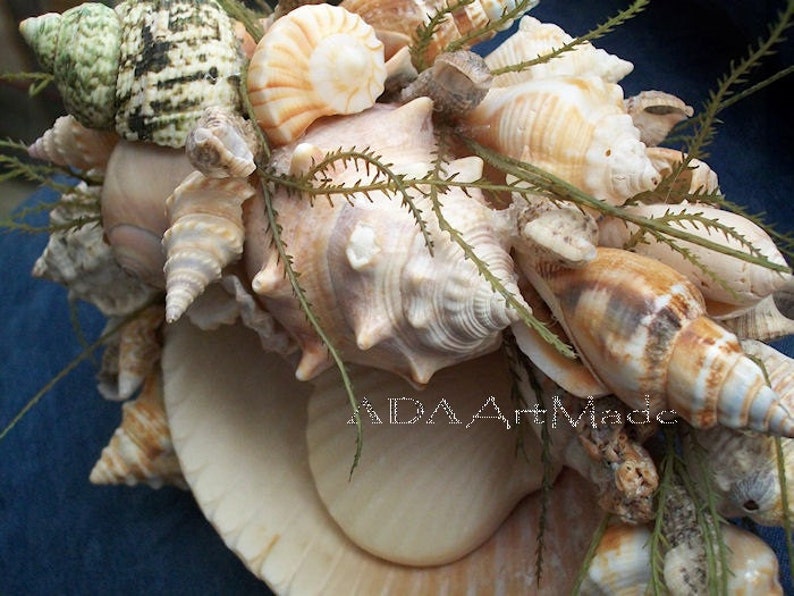 Seashell Dish Soap or Jewelry Functional Home Table Accent Bathroom ...