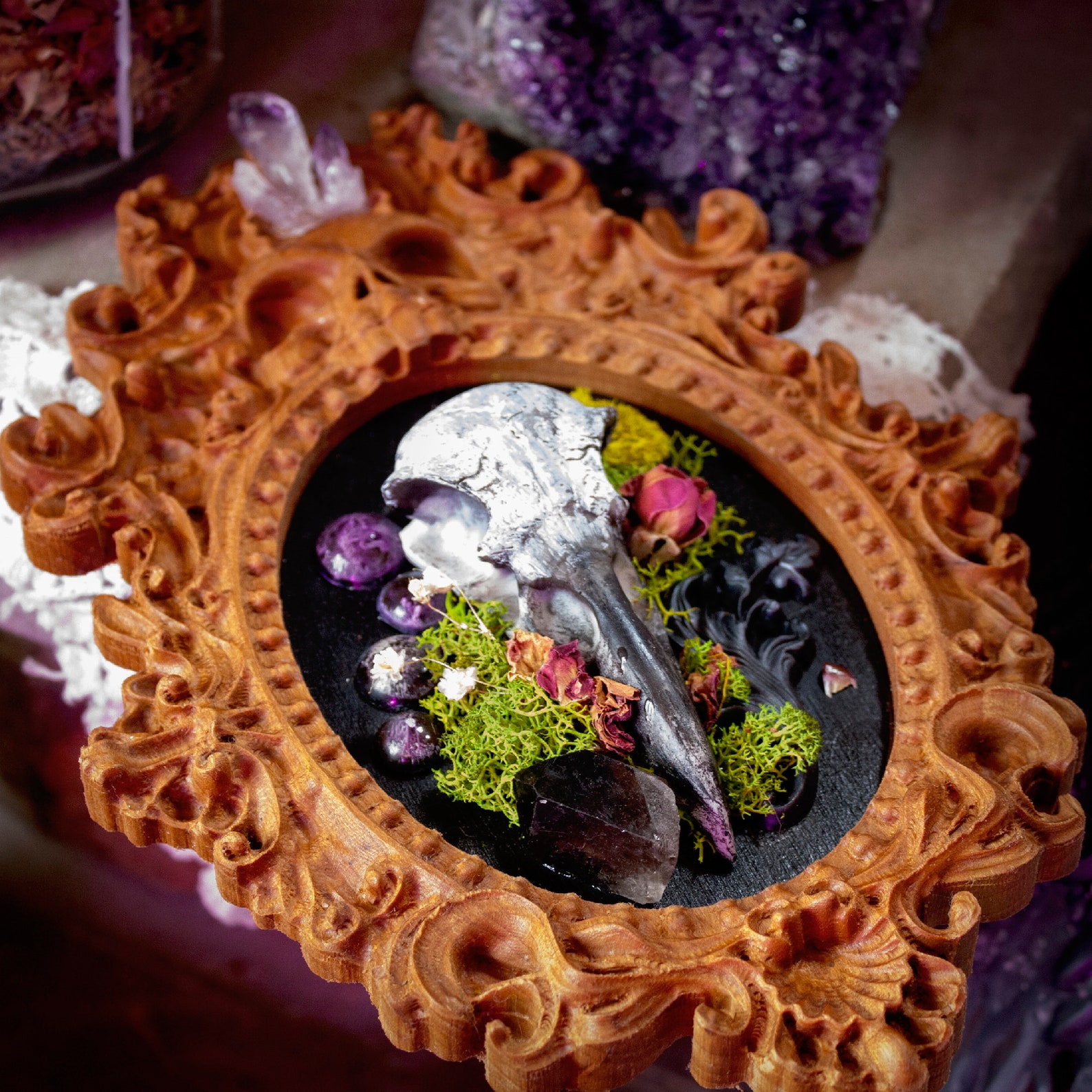 Bird Skull and Frame Oddities and Curiosities Skull Frame - Etsy