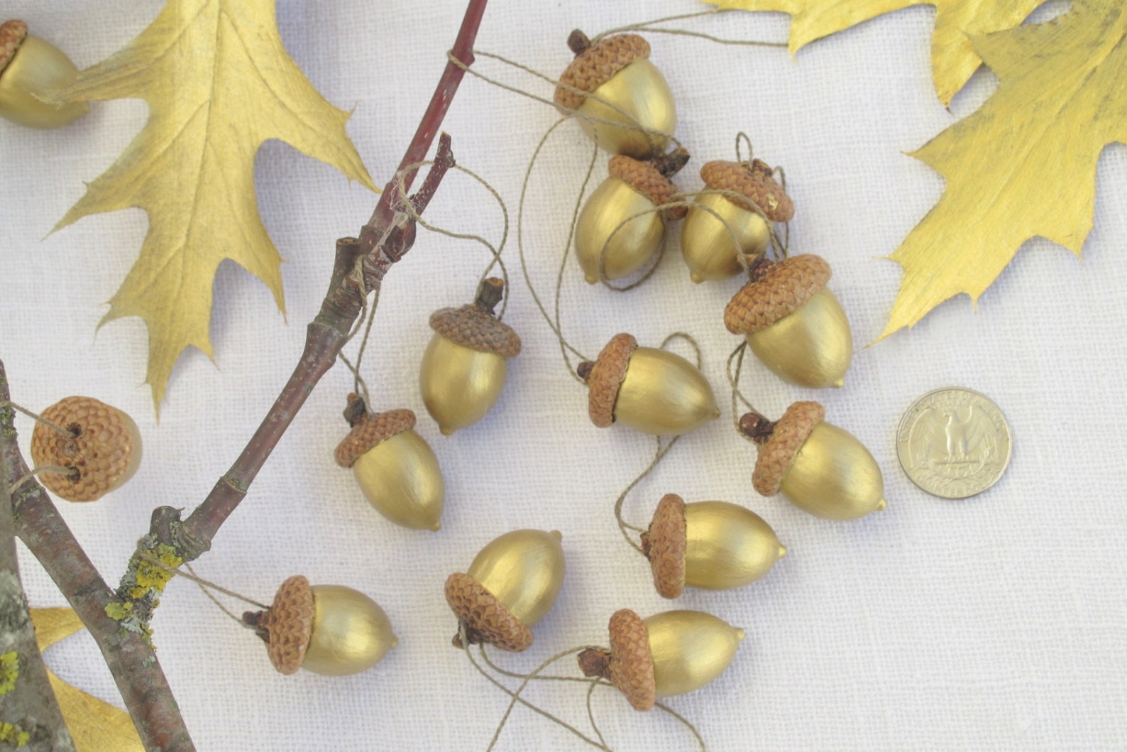 Gold Color Acorns Acorn Ornaments Real Acorns Christmas Tree - Etsy