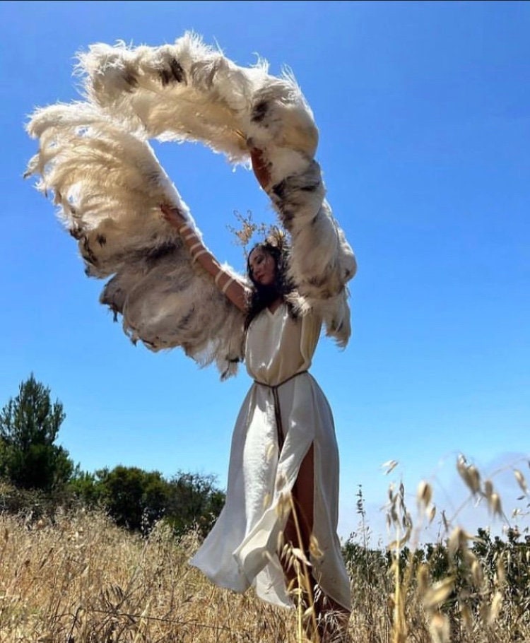 Feather Costume Dancing Wings Strappy Burlesque Articulating - Etsy