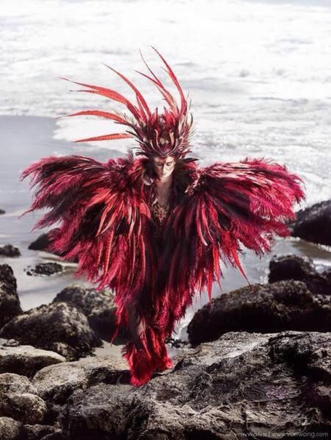 Phoenix Feather Wings, Fully Articulating, Dancing Costume Wings for ...