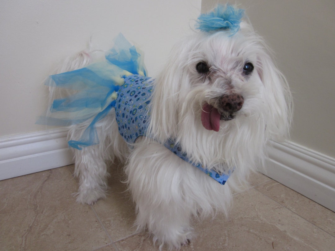 Dog Clothing - Blue Floral Tutu Dress, Matching Hair Clip, for Party ...