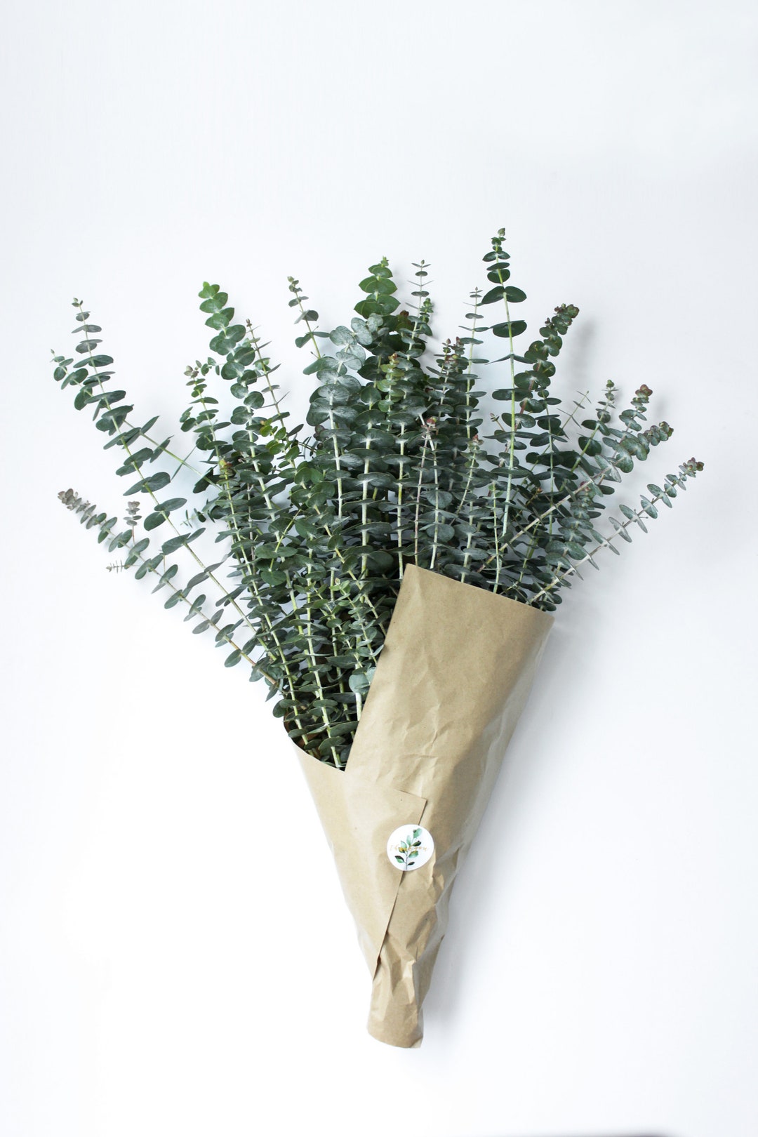 Fresh Living Eucalyptus Bunch Greenery Home Decor Wedding House Warming ...