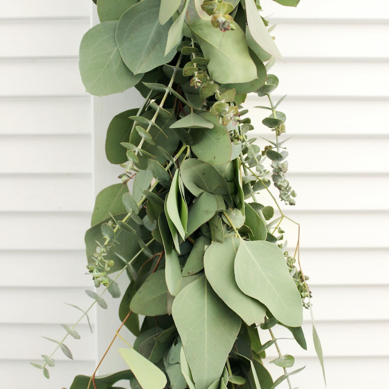 Fresh Garland - Etsy