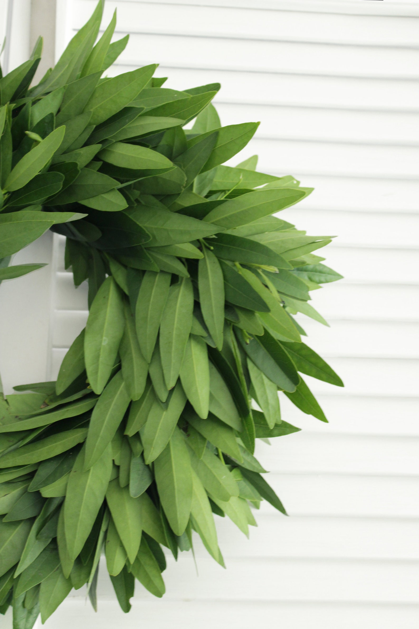 Fresh Handmade Bay Leaf Wreath 12 Greenery Wreath for - Etsy