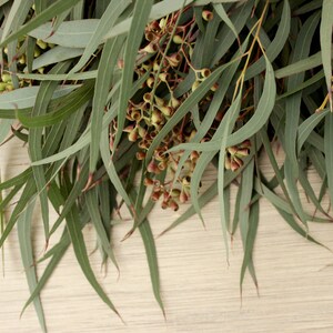 Fresh Handmade Willow Eucalyptus + Seeded Eucalyptus Wreath 20 ...