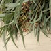 Fresh Handmade Willow Eucalyptus Seeded Eucalyptus Wreath 20_greenery ...