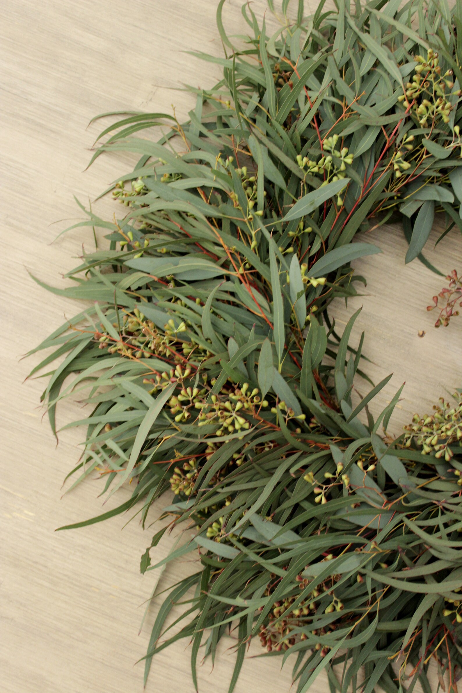 Fresh Handmade Willow Eucalyptus Seeded Eucalyptus Wreath - Etsy