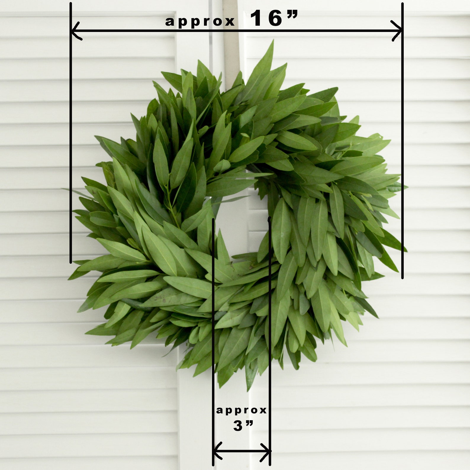Fresh Handmade Bay Leaf Wreath 12 Greenery Wreath for - Etsy