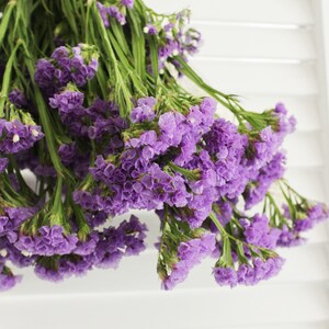 Purple Statices - Limonium 10-12 Stems - Etsy