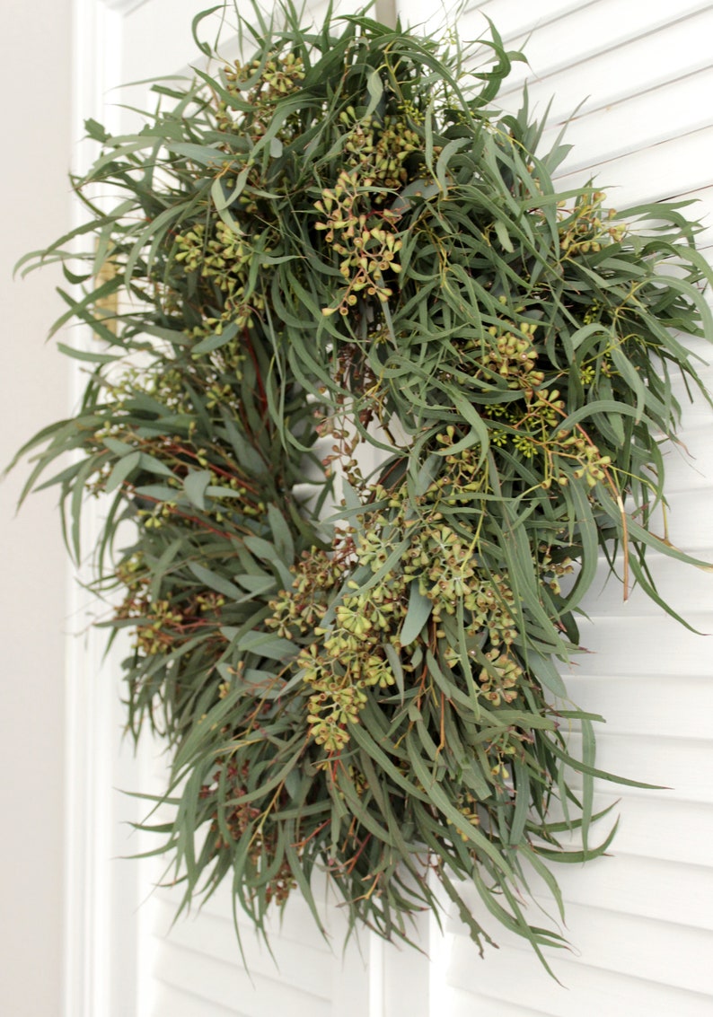 Fresh Handmade Willow Eucalyptus Seeded Eucalyptus Wreath - Etsy