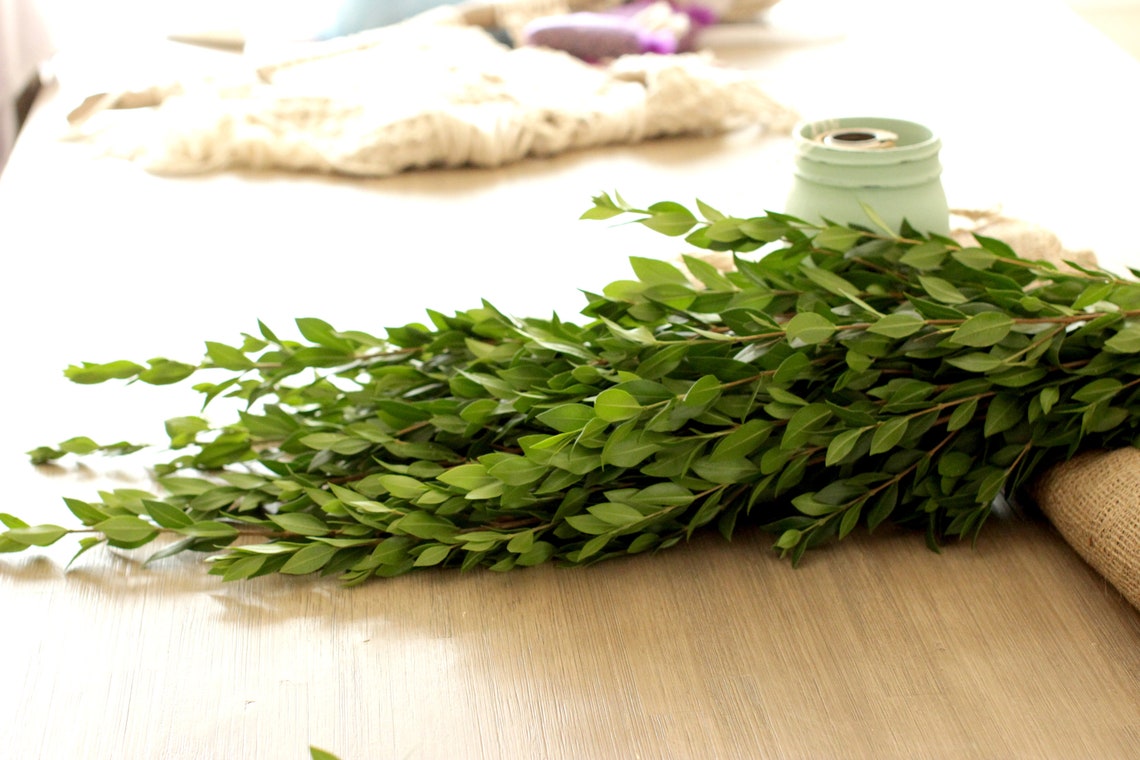 Fresh Cut Myrtle 20 Stems DIY Wedding Showers Event - Etsy