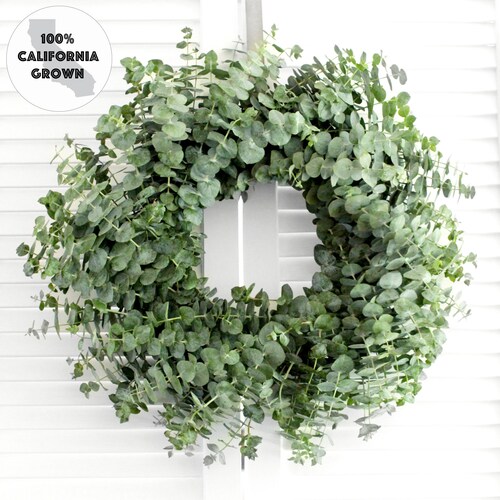 Fresh Handmade Rosemary Wreath 16 Inch Greenery Wreath for | Etsy