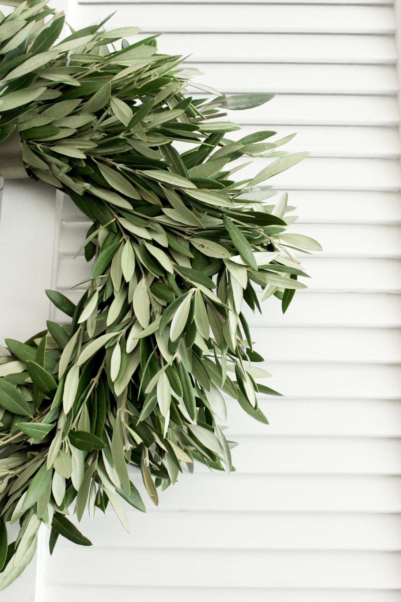 Fresh Handmade Olive Branch Wreath 16 Inch Greenery Wreath - Etsy