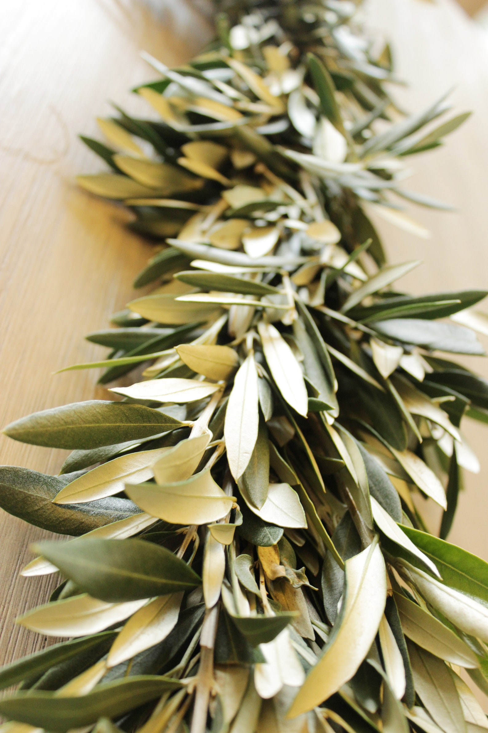 Handmade Fresh Olive Branch Greenery Garland for Wedding | Etsy