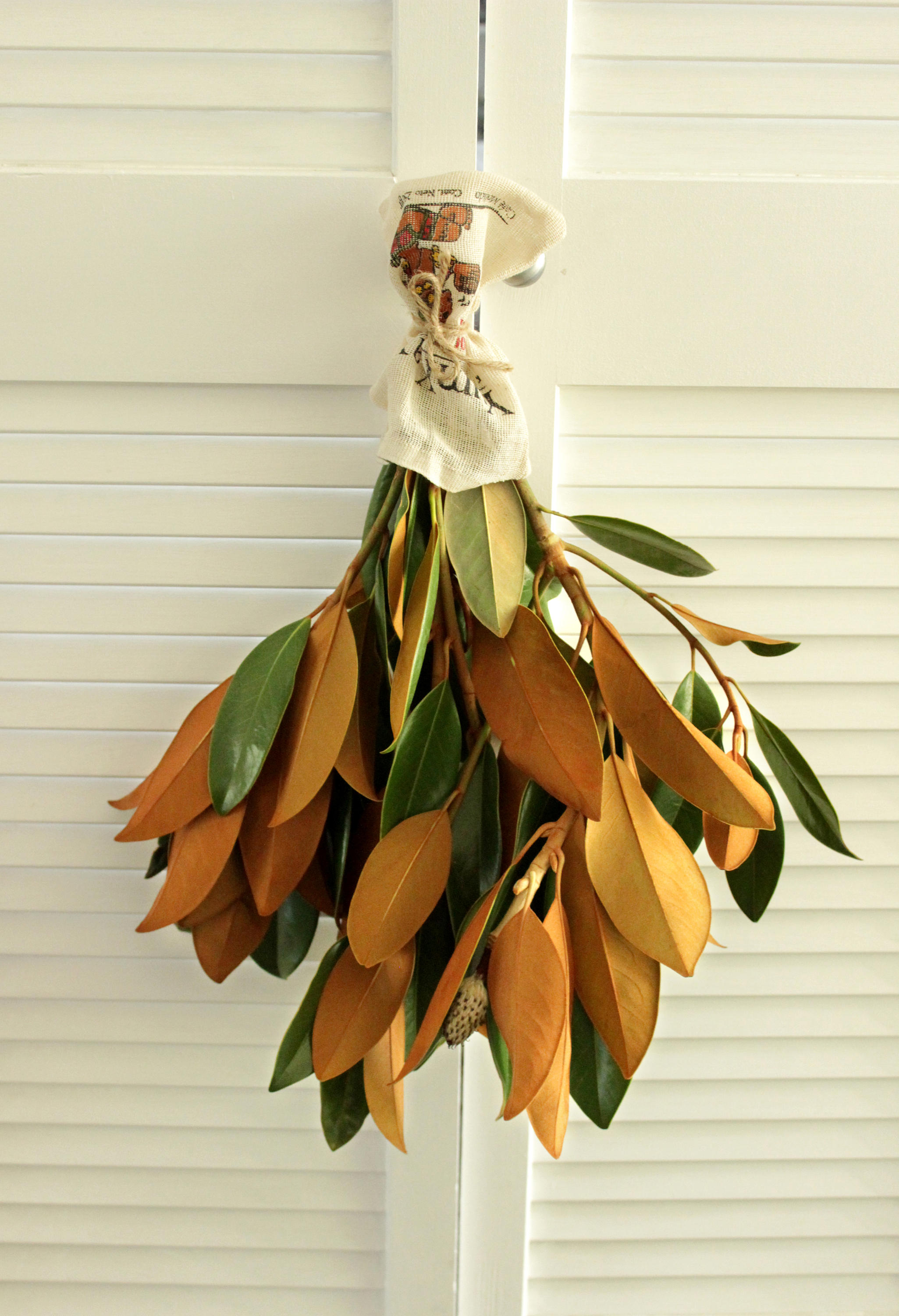 Fresh Magnolia Tips - Etsy