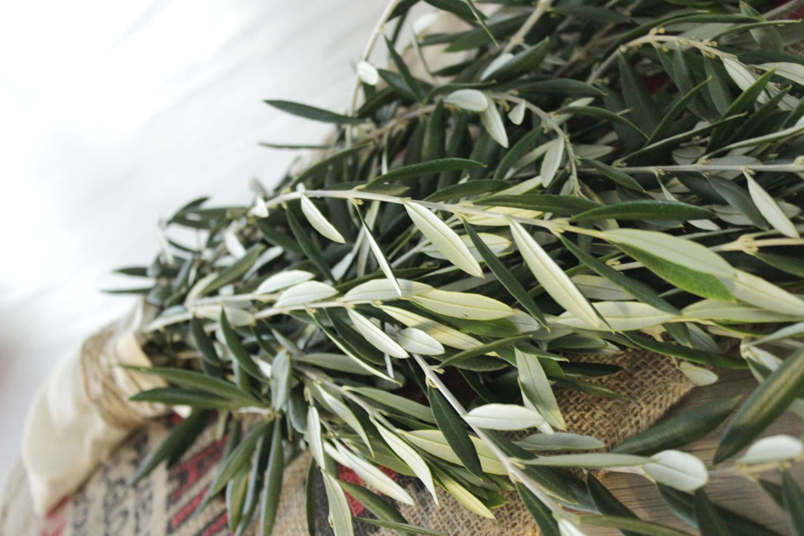 Fresh Olive Branch 8-10 Stems for Home Decor Wedding Cake - Etsy