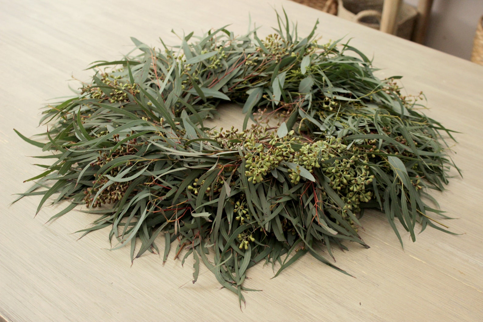 Fresh Handmade Willow Eucalyptus Seeded Eucalyptus Wreath - Etsy