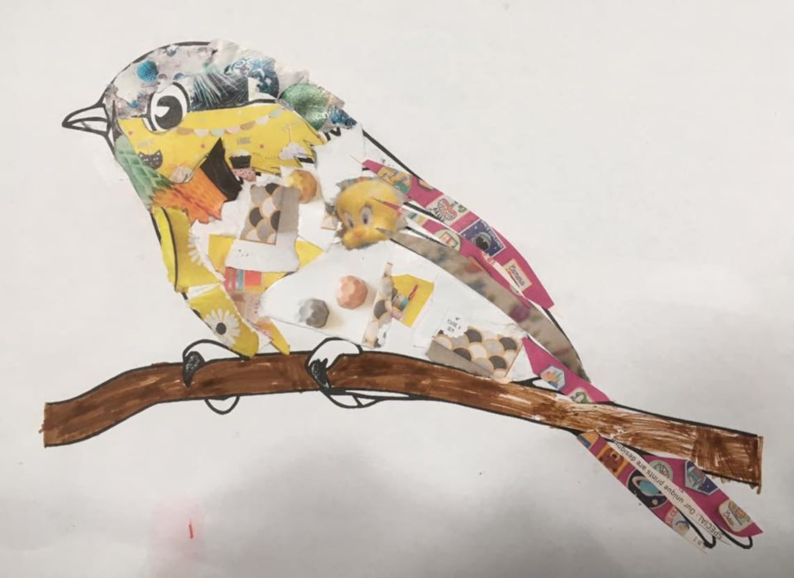 Fun Art Lesson to Create a Bird Using Collage - Etsy