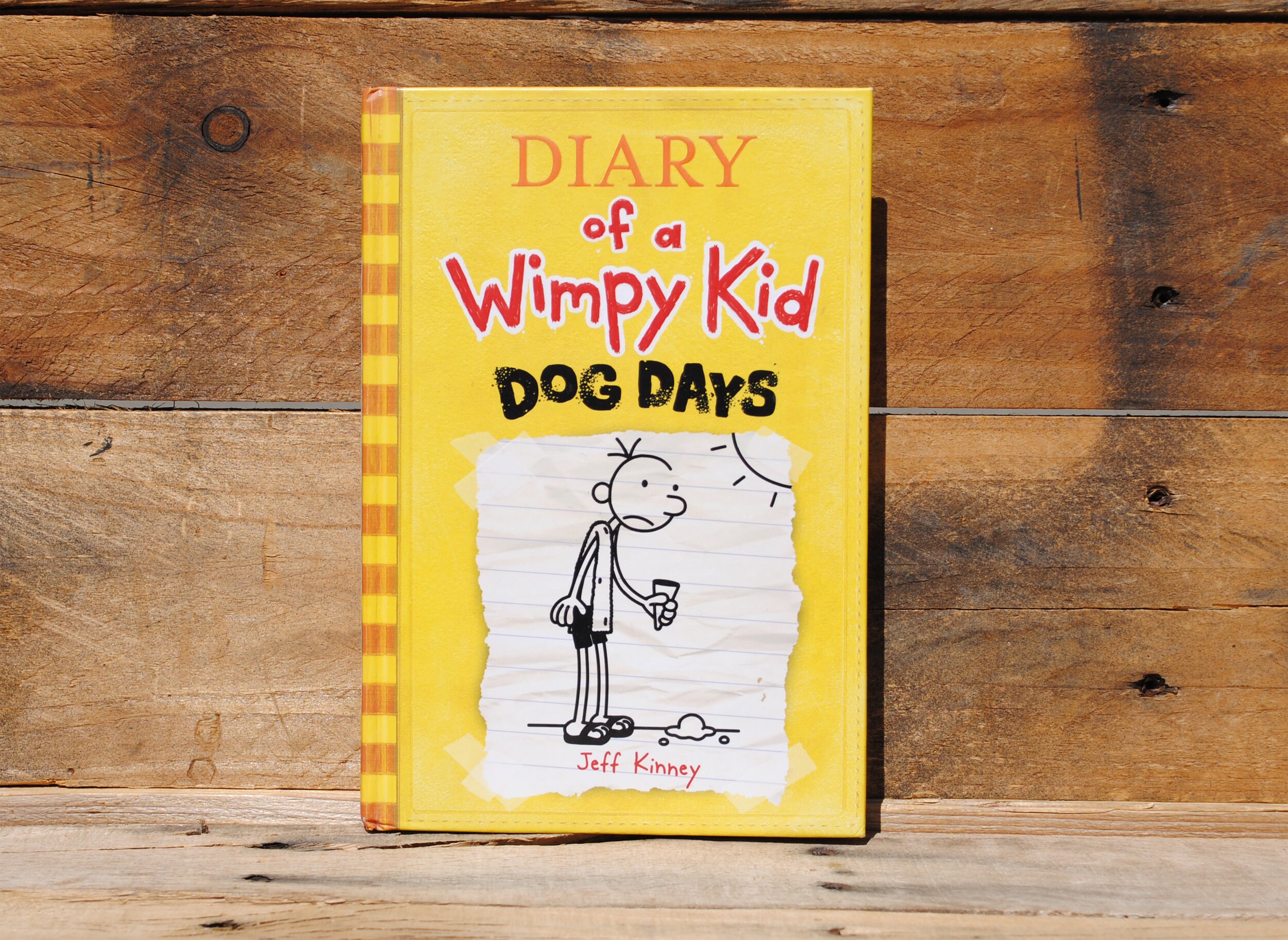 Diary Of A Wimpy Kid Dog Days Book