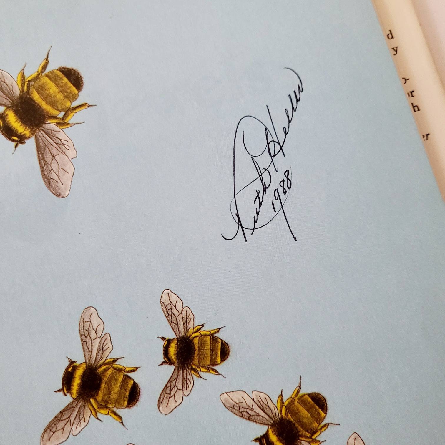 1987 a Cache of Jewels and Other Collective Nouns - Etsy