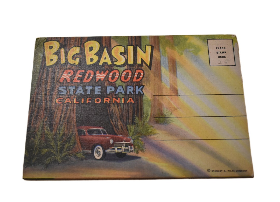 Vintage 30s Postcard Redwood Park Souvenir Tourist Accordion Fold Out ...
