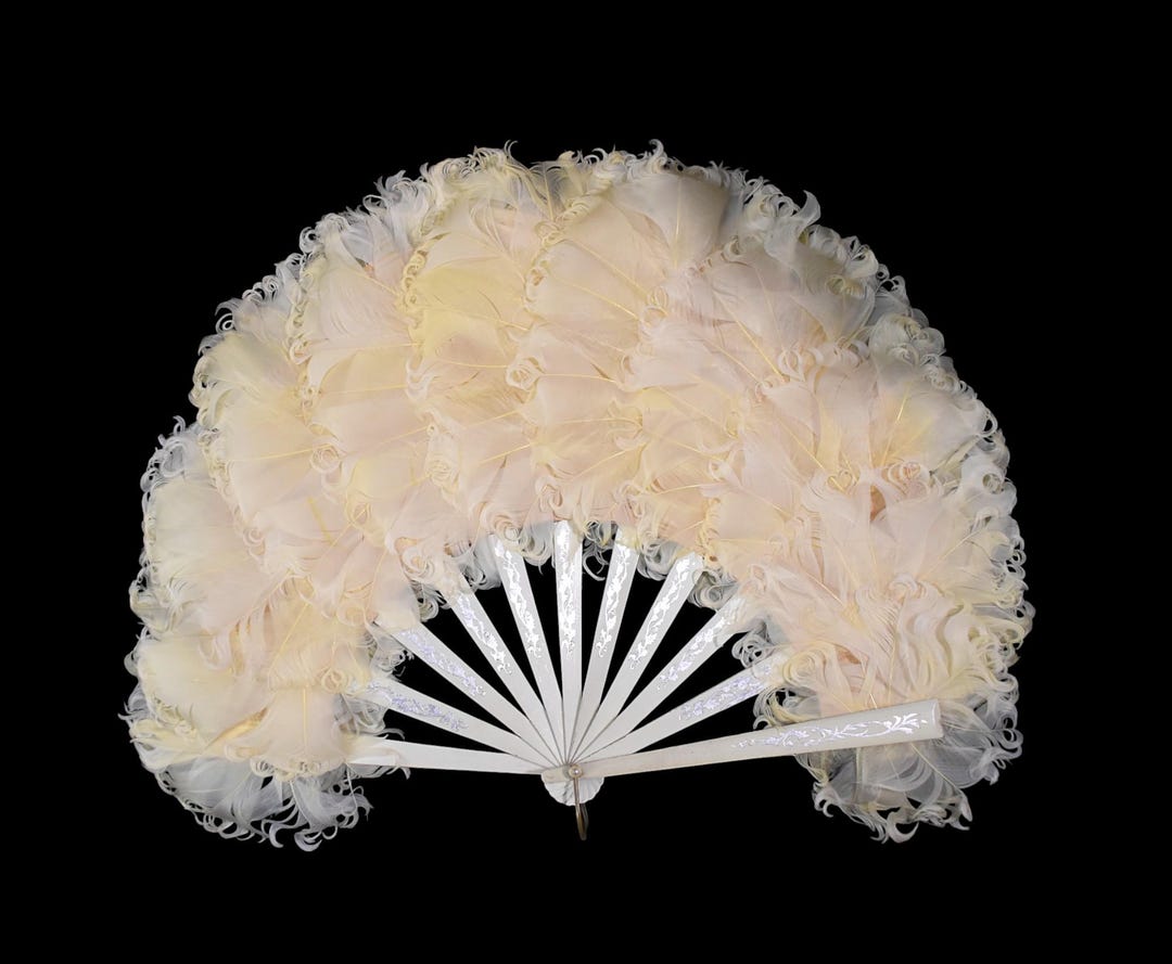 Victorian Hand Fan Antique Late 1800s Curly Goose Bird Feather Large ...
