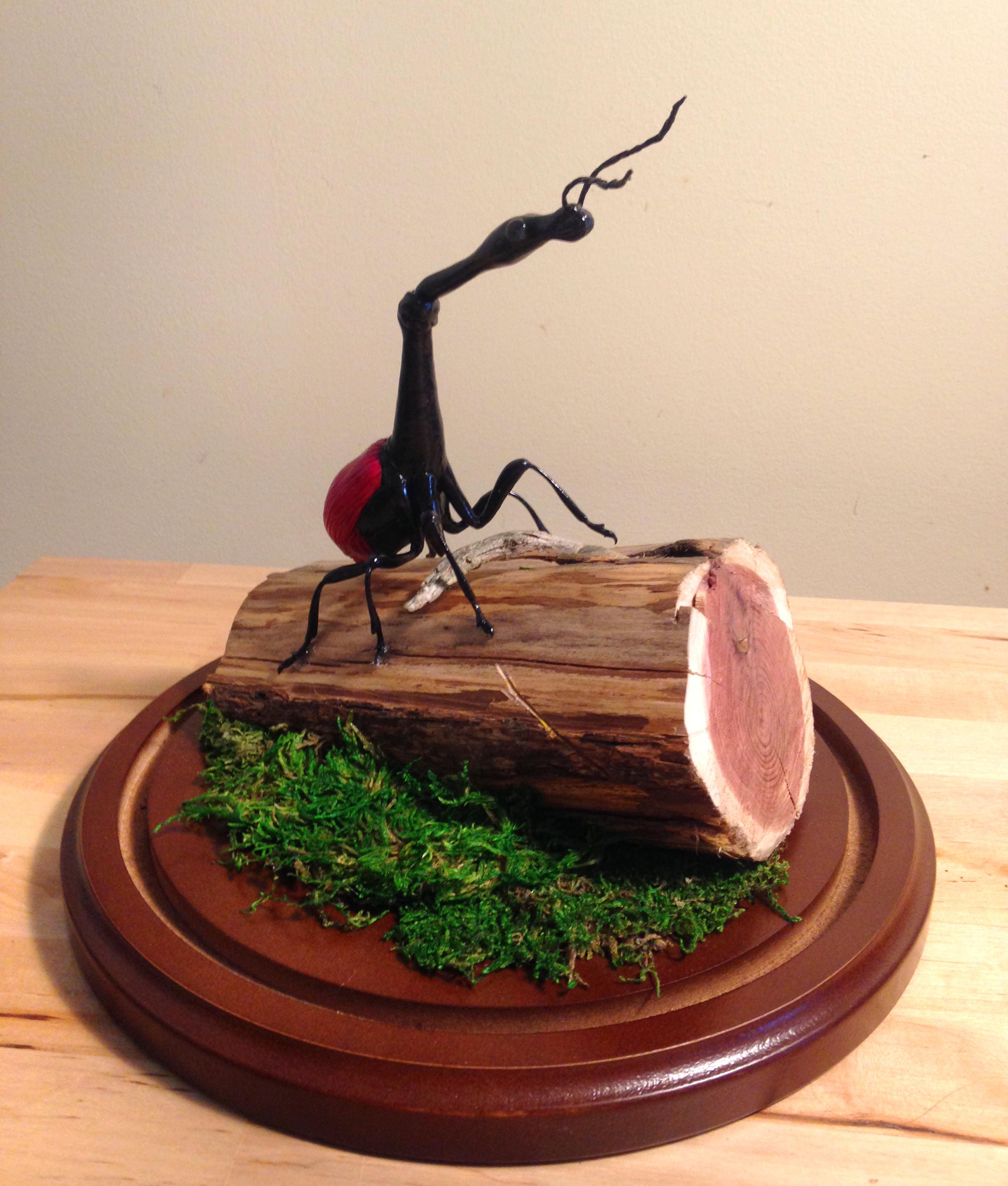 Giraffe Weevil Sculpture, Oddity, Curiosity Cabinet Handmade Model in ...