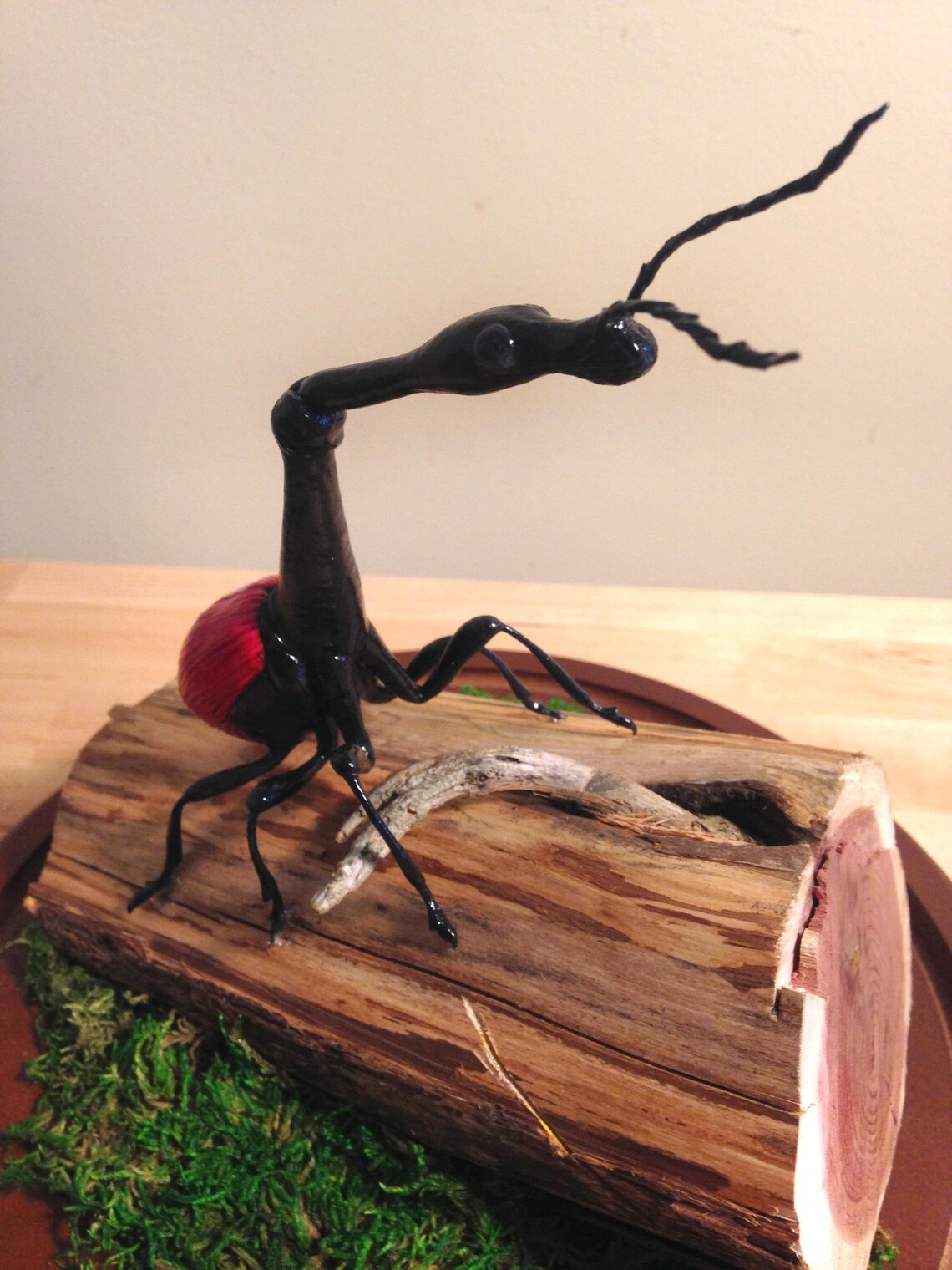 Giraffe Weevil Sculpture, Oddity, Curiosity Cabinet Handmade Model in ...