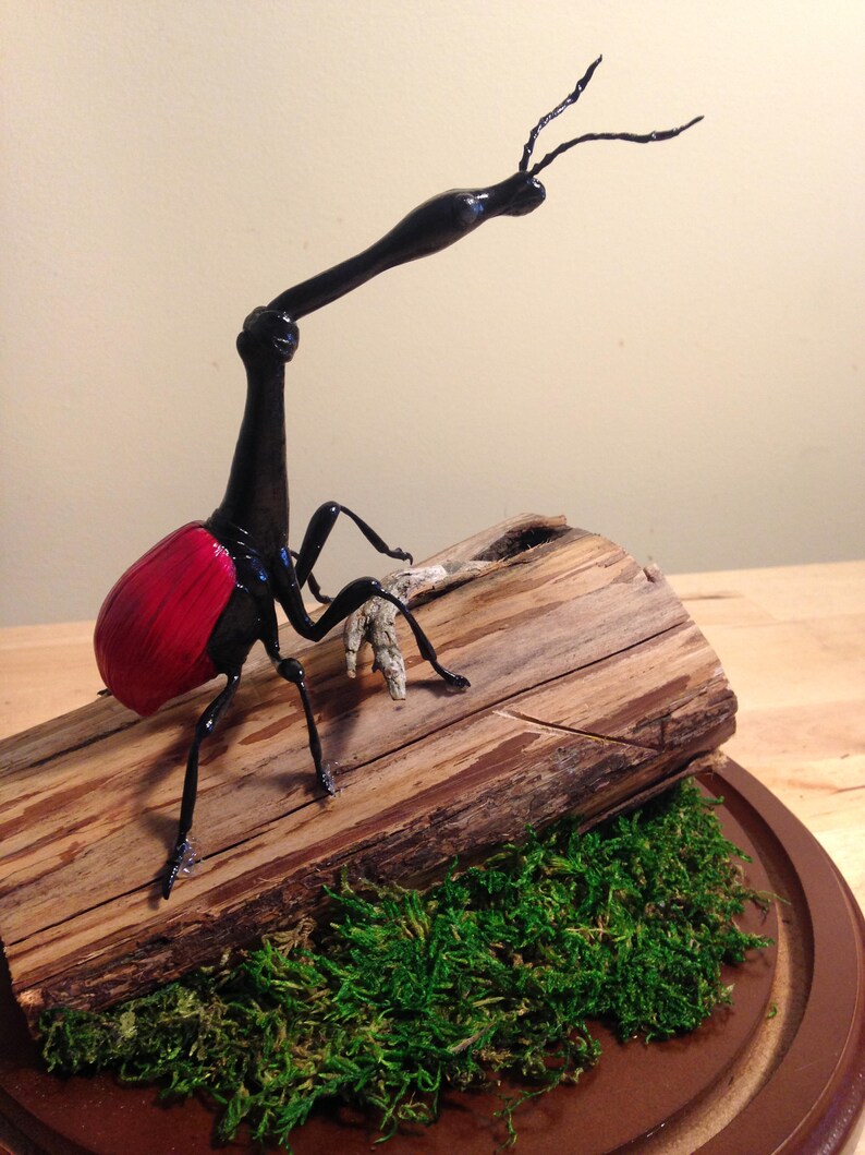 Giraffe Weevil Sculpture, Oddity, Curiosity Cabinet Handmade Model in ...