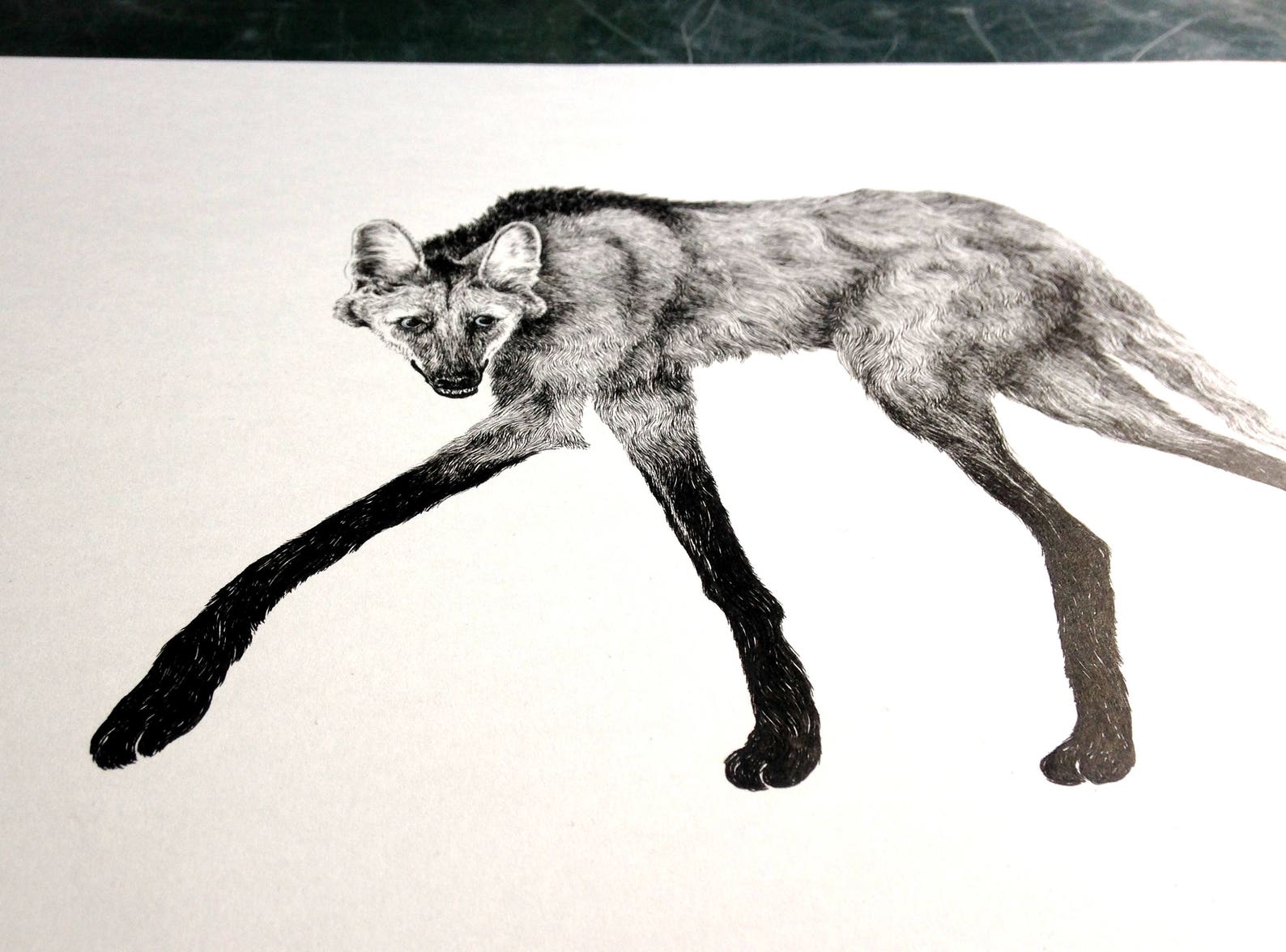 Maned Wolf, Pen & Ink Drawing, Illustration on Paper, 11x14" - Etsy