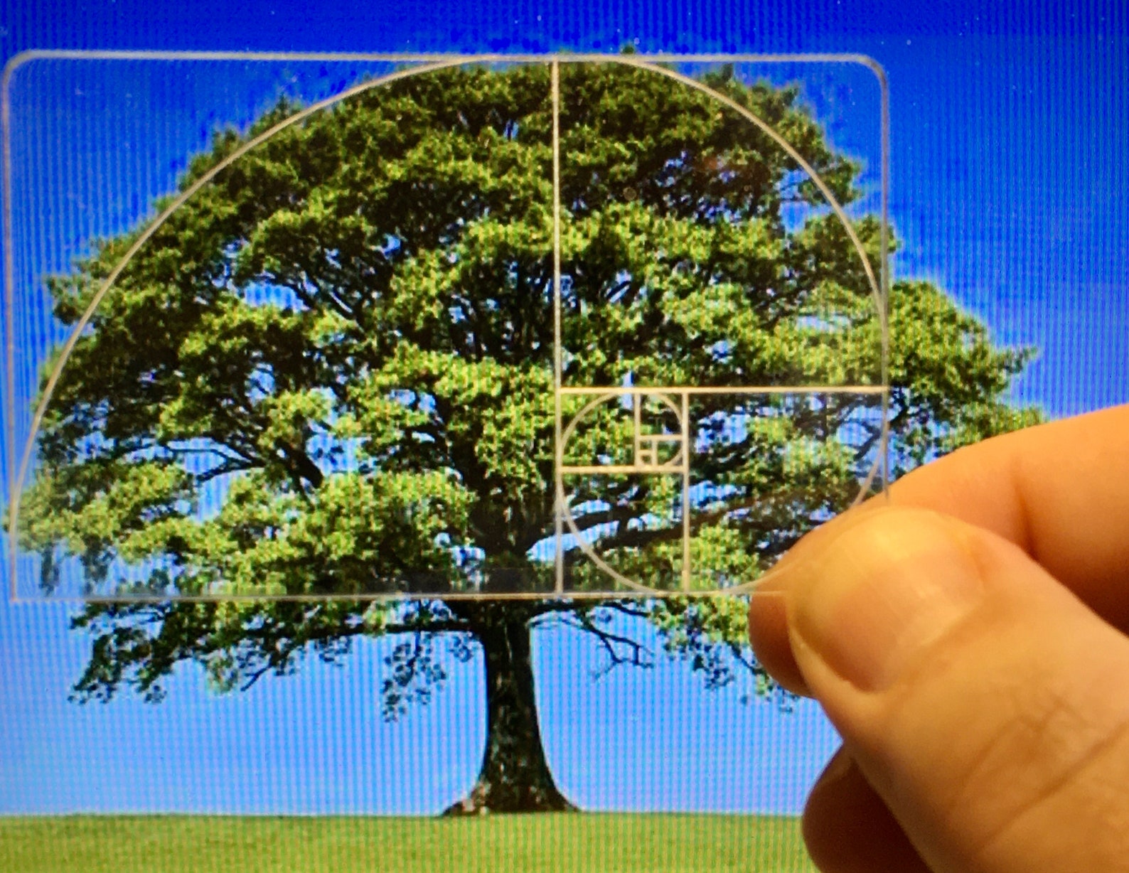 Phi Golden Ratio Viewer - Etsy