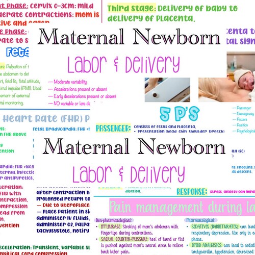 Maternal Newborn Notes - Etsy