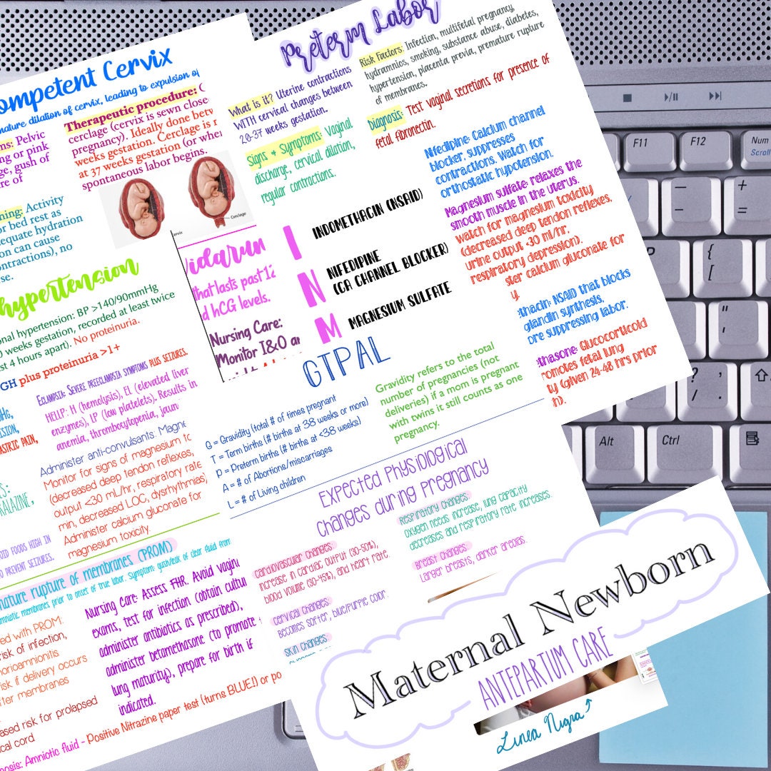 Antepartum Maternal Newborn OB Nursing Notes | Etsy