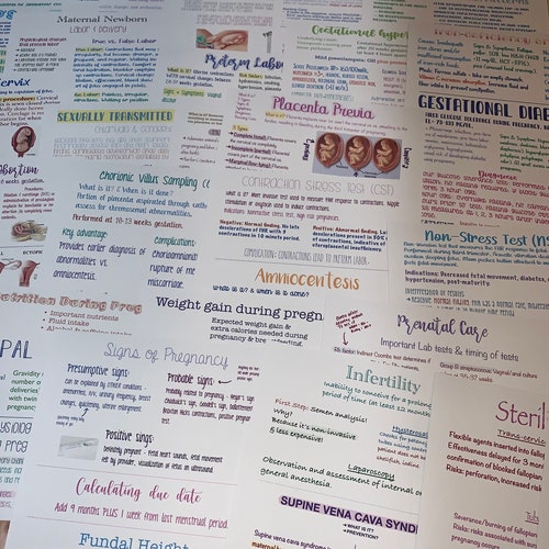 BUNDLE Maternal Newborn OB BUNDLE Antepartum and Labor & - Etsy India