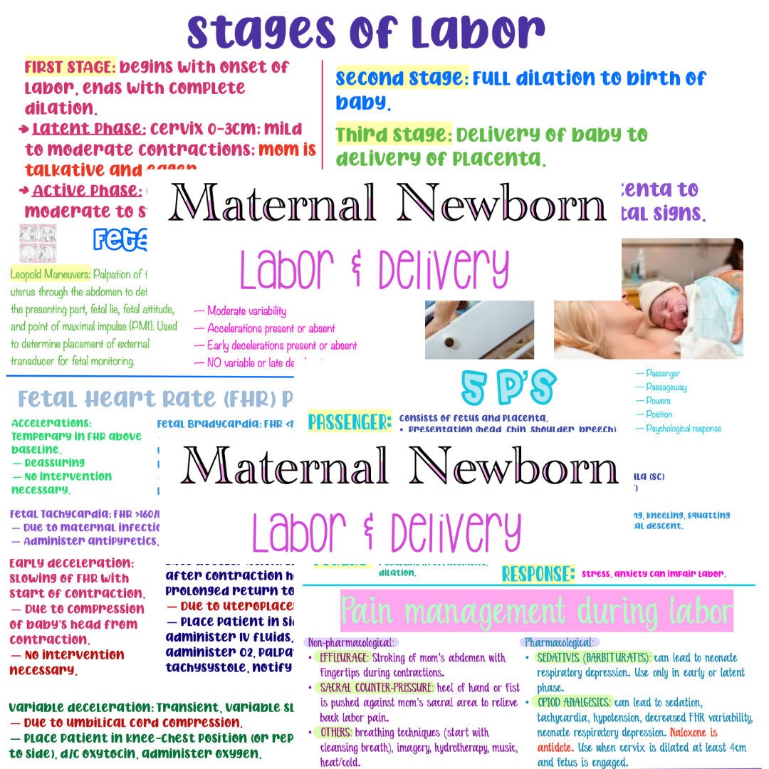 Labor and Delivery Maternal Newborn OB Nursing Notes - Etsy Labor and Delivery Maternal Newborn OB Nursing Notes - Etsy