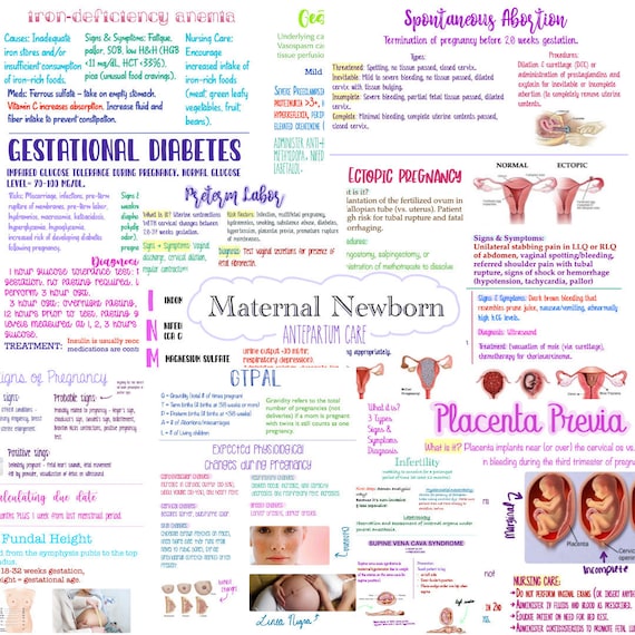 Antepartum Maternal Newborn OB Nursing Notes | Etsy