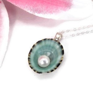 Blue Beach Shell Necklace - Minimalist Shell Necklace - Sterling Silver ...
