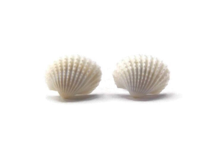 Shell Stud Earrings Natural Shell Earrings White - Etsy