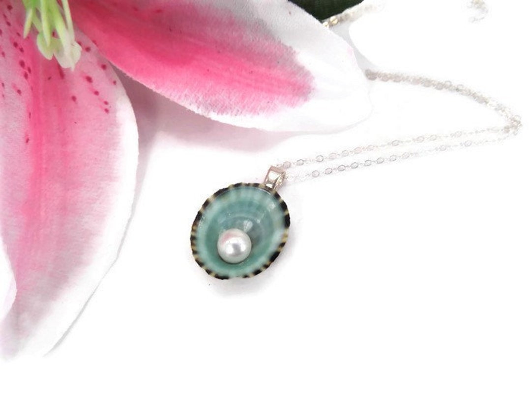 Blue Beach Shell Necklace - Minimalist Shell Necklace - Sterling Silver ...